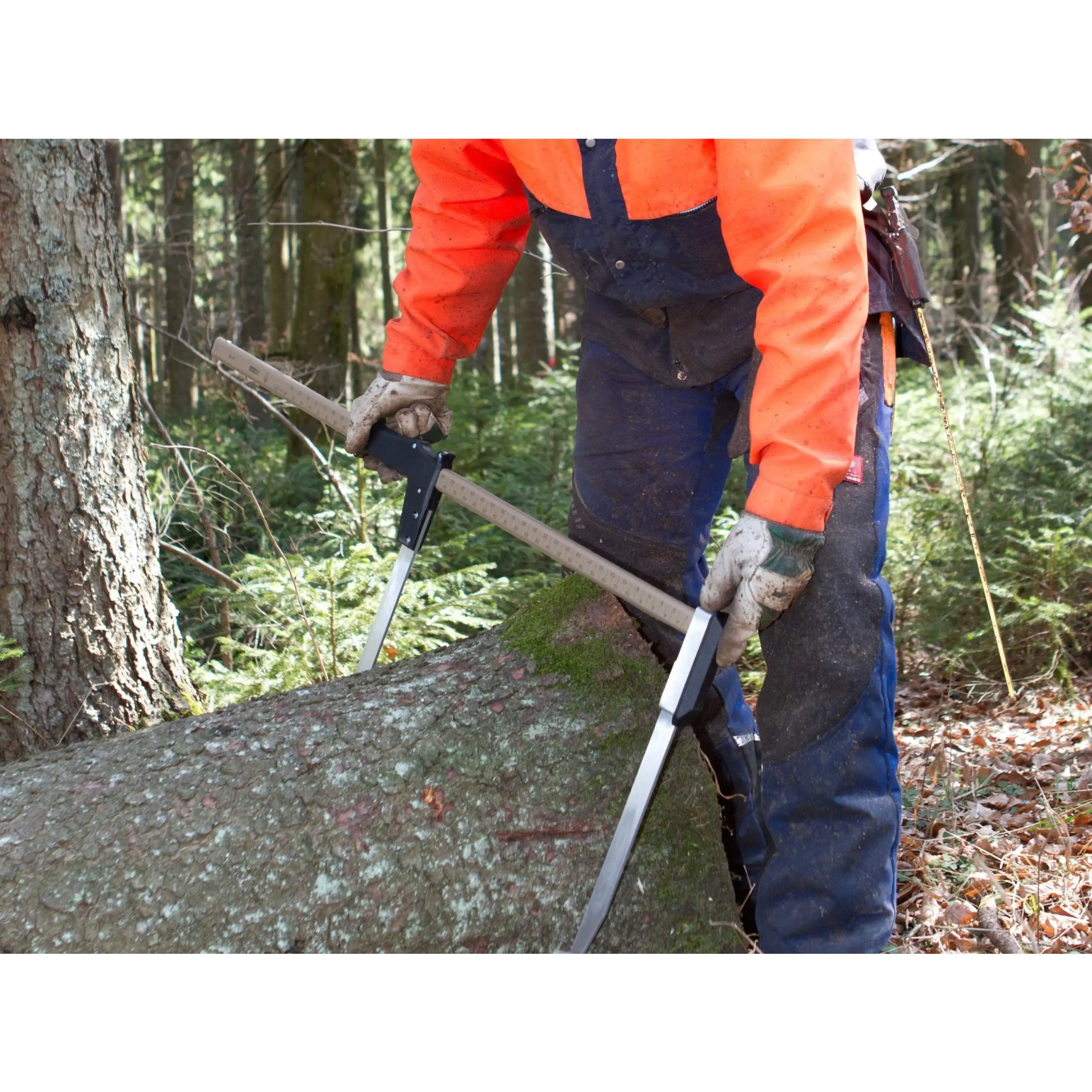 NESTLE Forestry caliper Waldmeister 40 cm • Forestry caliper ...