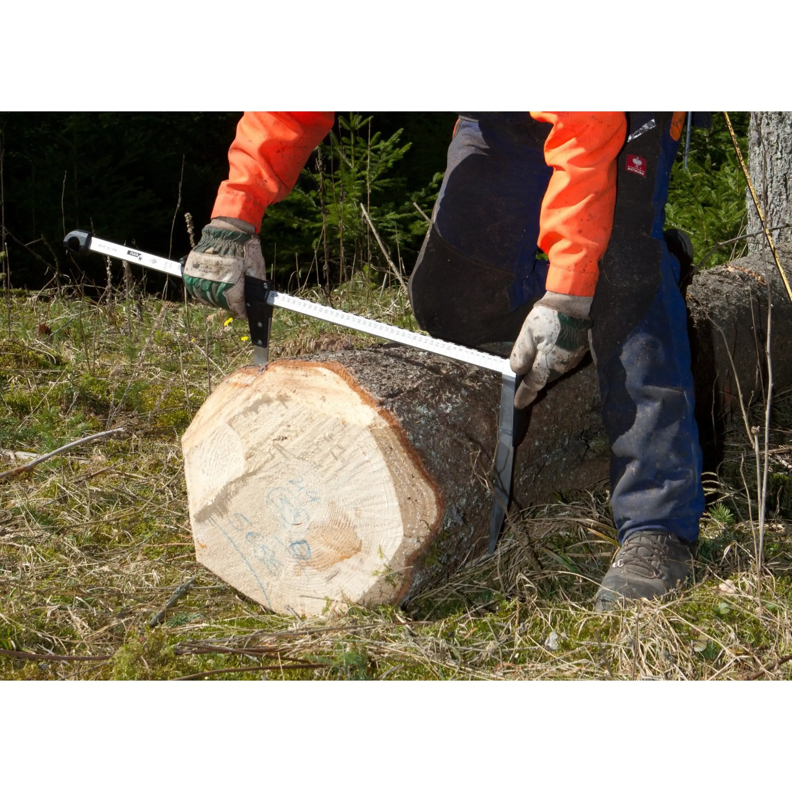 NESTLE Forestry caliper Waldfreund 100 cm • Forestry caliper Waldfreund ...